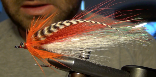 Flashtail Whistler - Fly of the Month - Hastings Fly Fishers