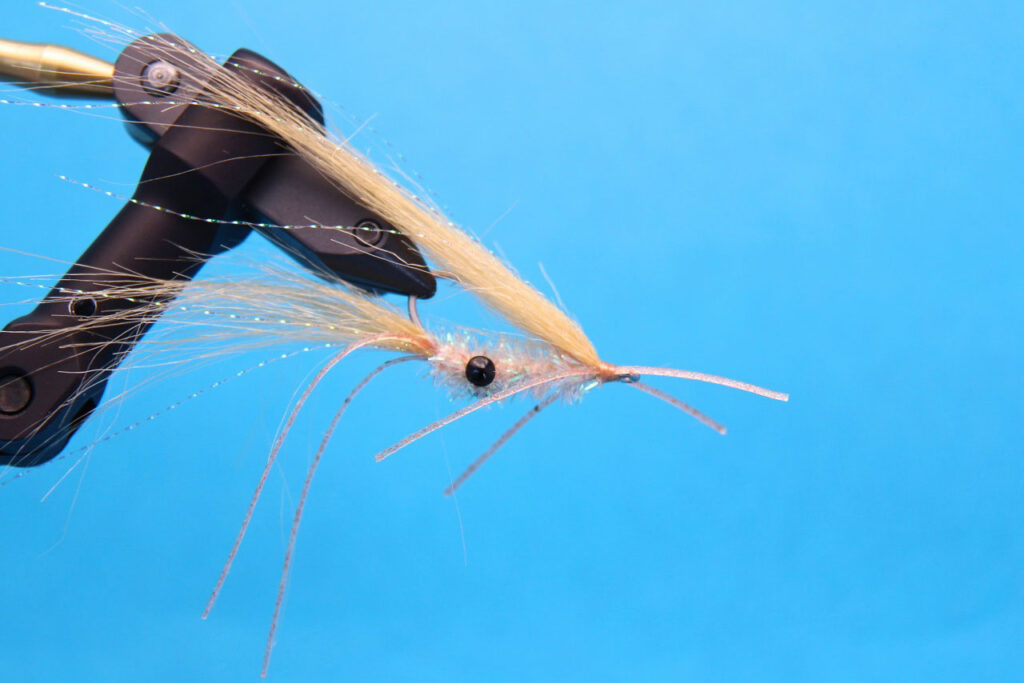 Squimp Fly - Fly of the Month - Hastings Fly Fishers