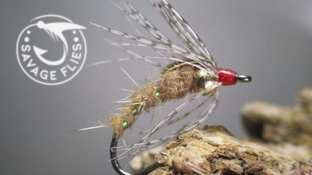 Holy Grail Caddis Pupa - The Fly Box - Hastings Fly Fishers