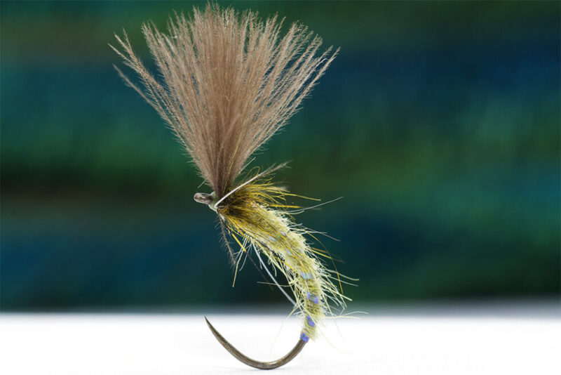 CDC Fly Fest #1: Olive CDC Emerger - Hastings Fly Fishers